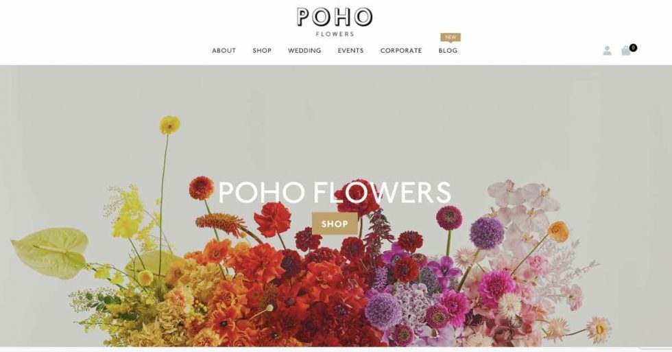 Best Light Websites of 2026 | 36 Examples