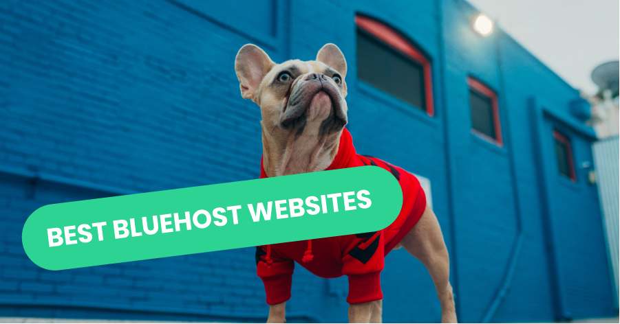 Best Bluehost Websites of 2025 | 27 Inspiring Examples