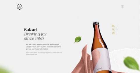 Best Light Websites of 2025 | 36 Examples