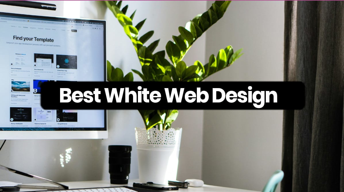 Best White Web Design of 2026 | 43 Examples 🚀