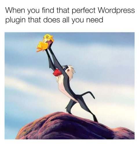 Best WordPress Memes 2025 | 15 Hilarious Memes