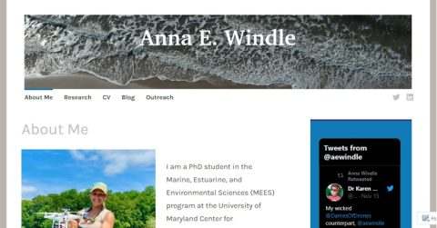 Best Student Portfolio Websites of 2024 | 49 Great Examples