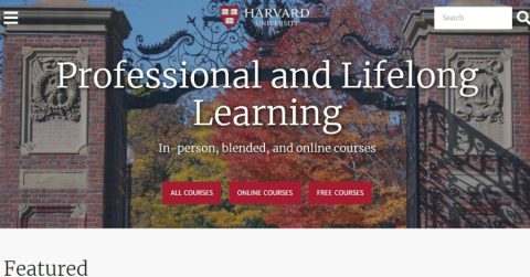 Best Training Websites of 2026 | 40 Examples