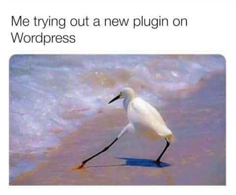 Best Web Design Memes 2025 | 22 Hilarious Memes