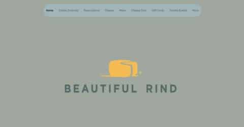 Best Wix Website of 2024 | 50+ Examples