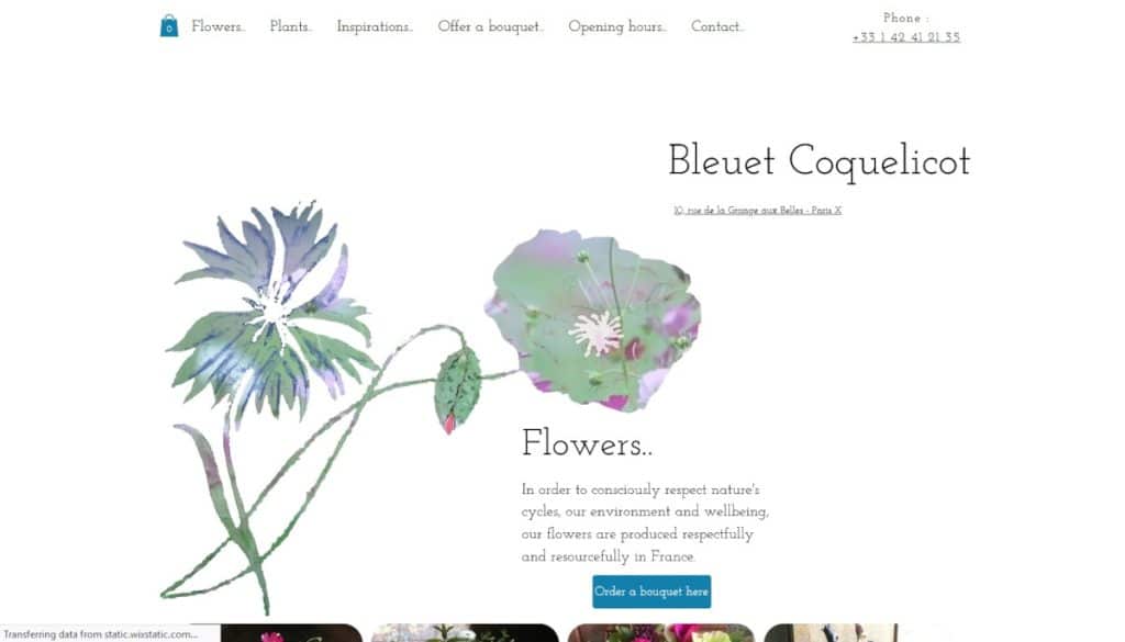 Best Flower Shop Websites of 2024 | 41 Examples + Templates