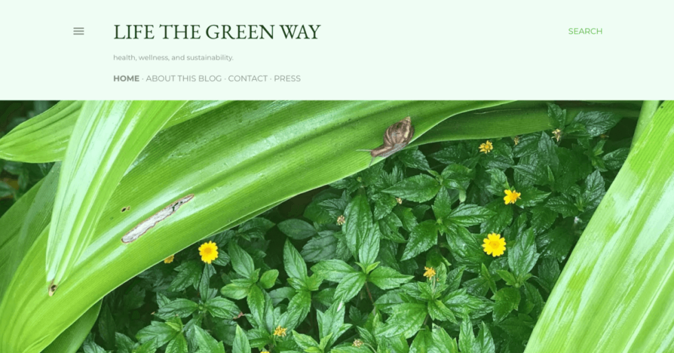 Best Environmental Websites of 2025 | 10 Inspiring Examples