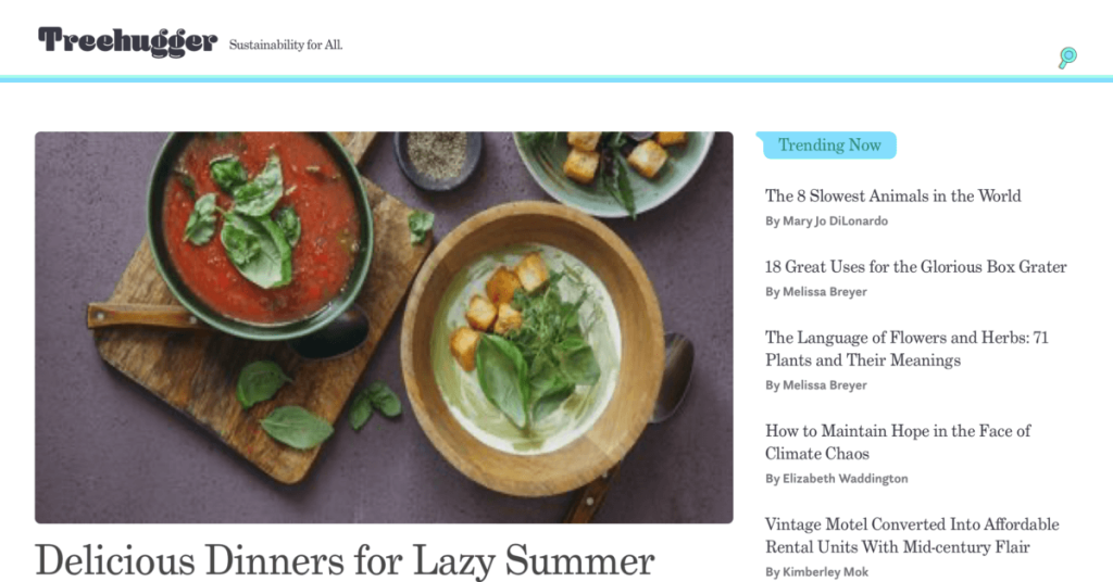 Best Environmental Websites of 2026 | 10 Inspiring Examples
