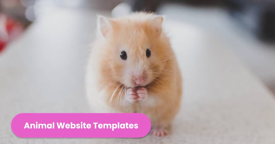 Best Animal Website Templates of 2025 | 21 Instant Downloads