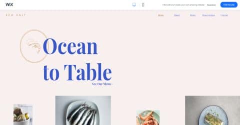 Best Aesthetic Website Templates of 2026 | 40 Examples