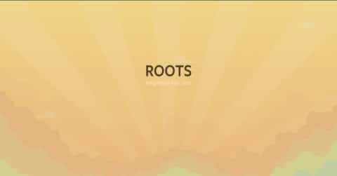 Best Static Websites of 2025 | 29 Examples + Templates