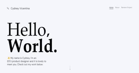 Best Student Portfolio Websites of 2025 | 49 Great Examples