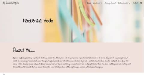 Best Student Portfolio Websites of 2025 | 49 Great Examples