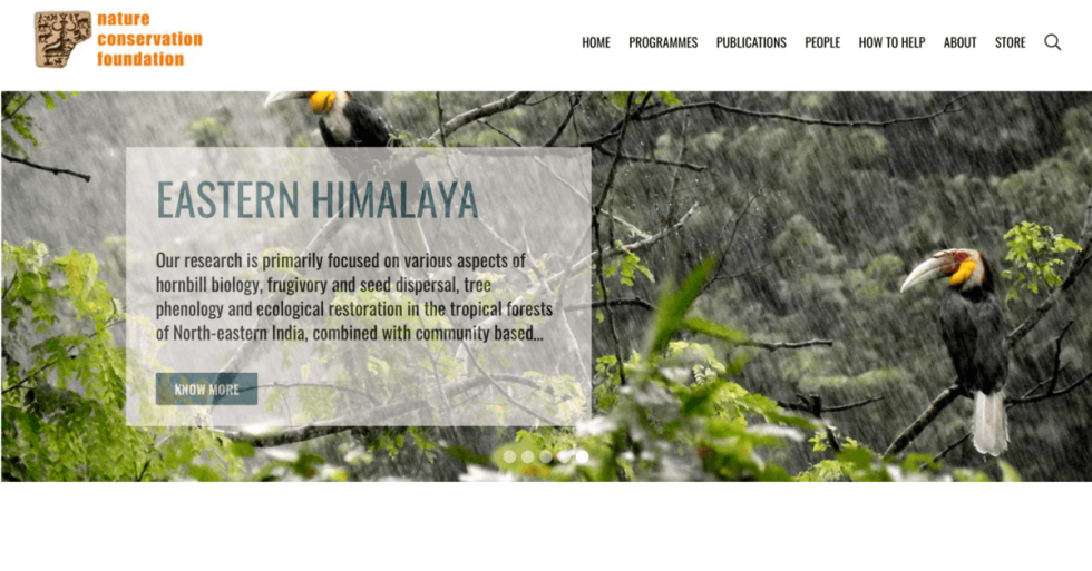 Best Nature Conservation Websites of 2026 | 7 Examples