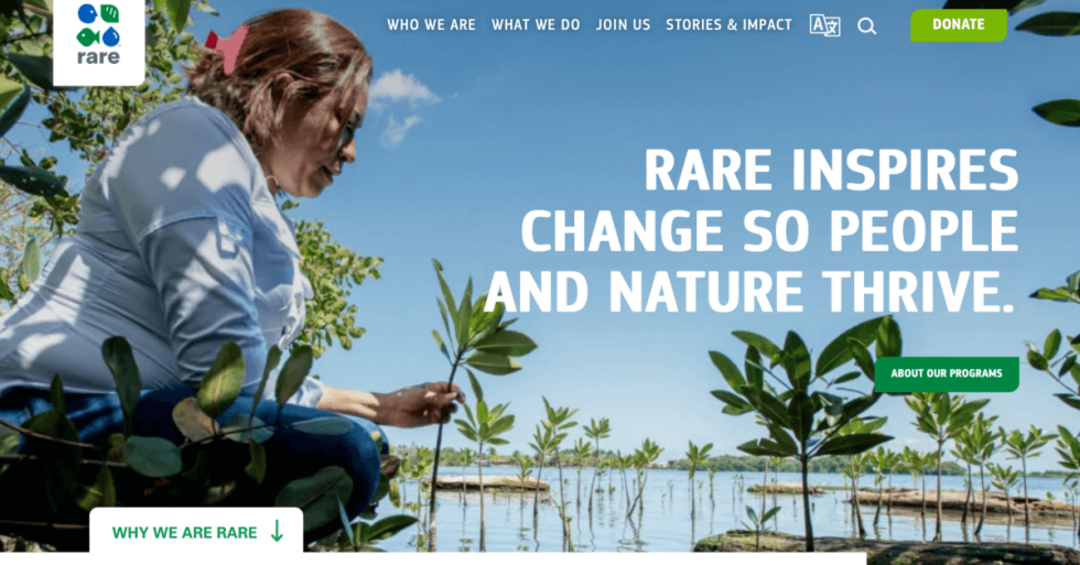 Best Nature Conservation Websites of 2026 | 7 Examples
