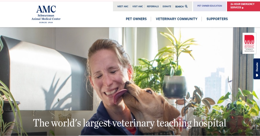 Best Veterinary Websites of 2025 | 11 Inspiring Examples 🚀