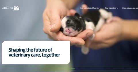 Best Veterinary Websites of 2025 | 11 Inspiring Examples 🚀