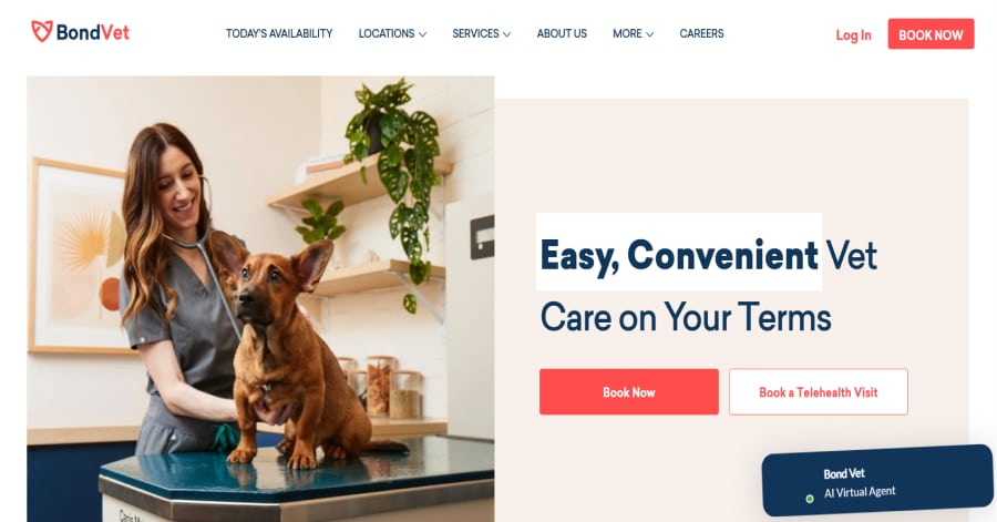 Best Veterinary Websites of 2025 | 11 Inspiring Examples 🚀