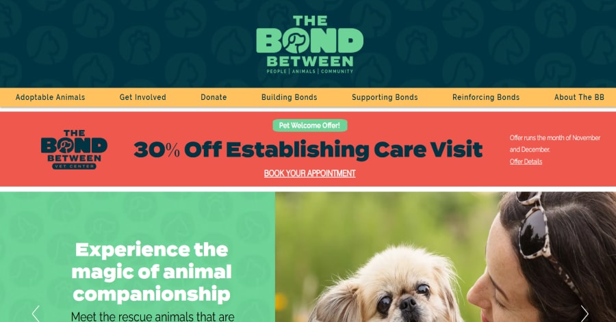 Best Veterinary Websites of 2025 | 11 Inspiring Examples 🚀