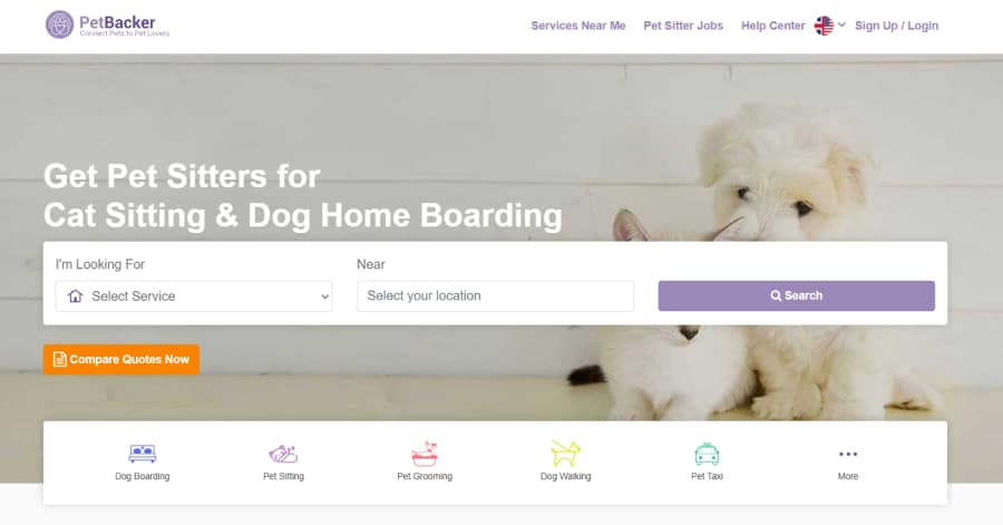 Best Pet Grooming Website Examples of 2026 🚀