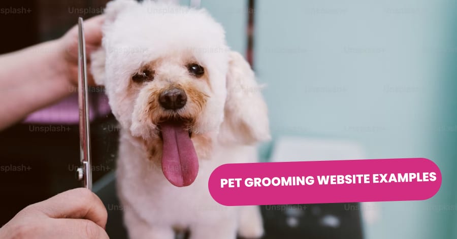 Best Pet Grooming Website Examples of 2026 🚀