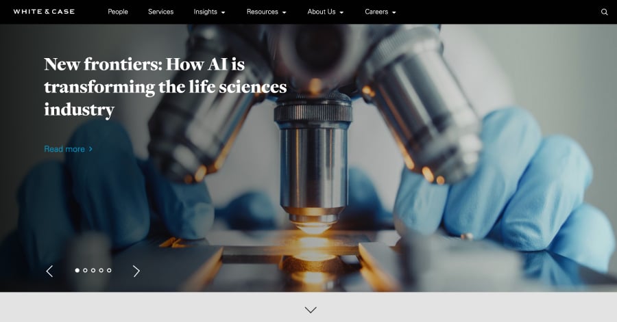 34 Best Informational Websites of 2026 [Inspiring Examples]
