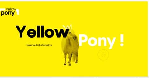 Best Yellow Websites of 2026 | 40 Examples