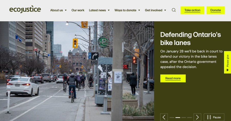 Best Petition Websites of 2026 | 13 Inspiring Examples