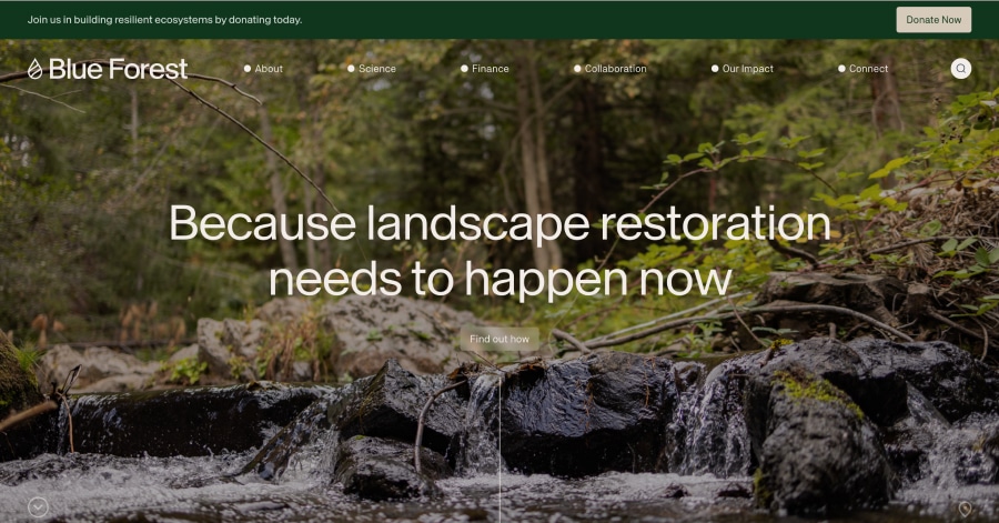 Best Nature Conservation Websites of 2026 | 13 Examples